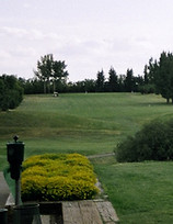 Murray Womens | Golf Clubs | Regina