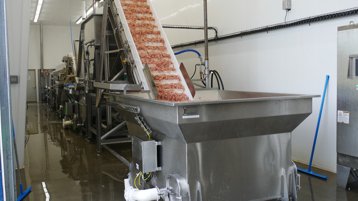 Shrimp Peeling | Laitram Machinery Automating Shrimp Processing