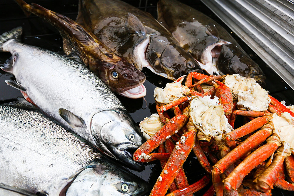 Friday, September 8, 2023