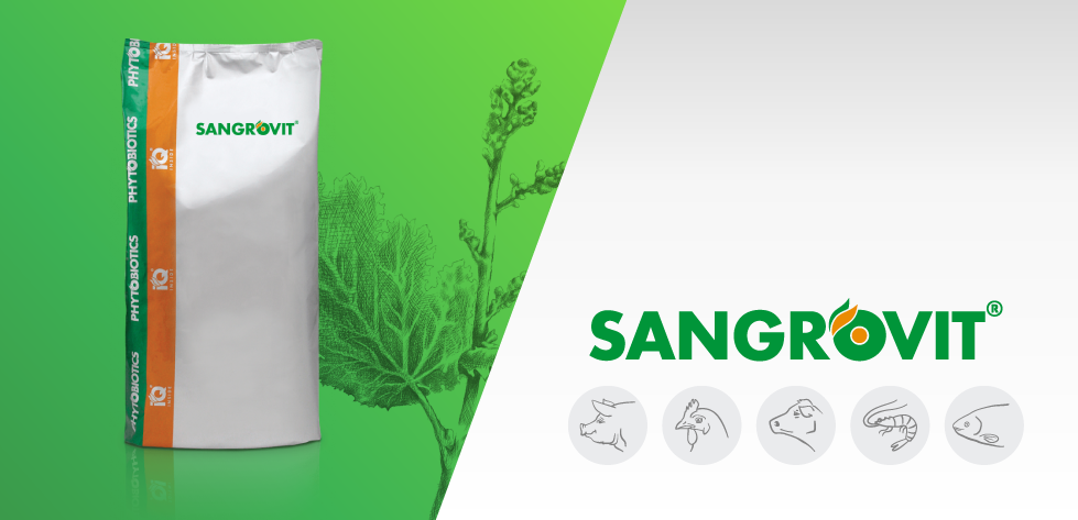 Sangrovit | Actividades Veterinarias