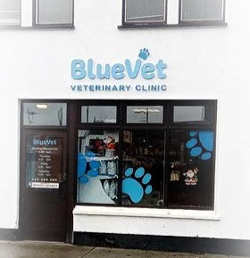 Veterinary Clinic Newbridge Bluevet 🐕