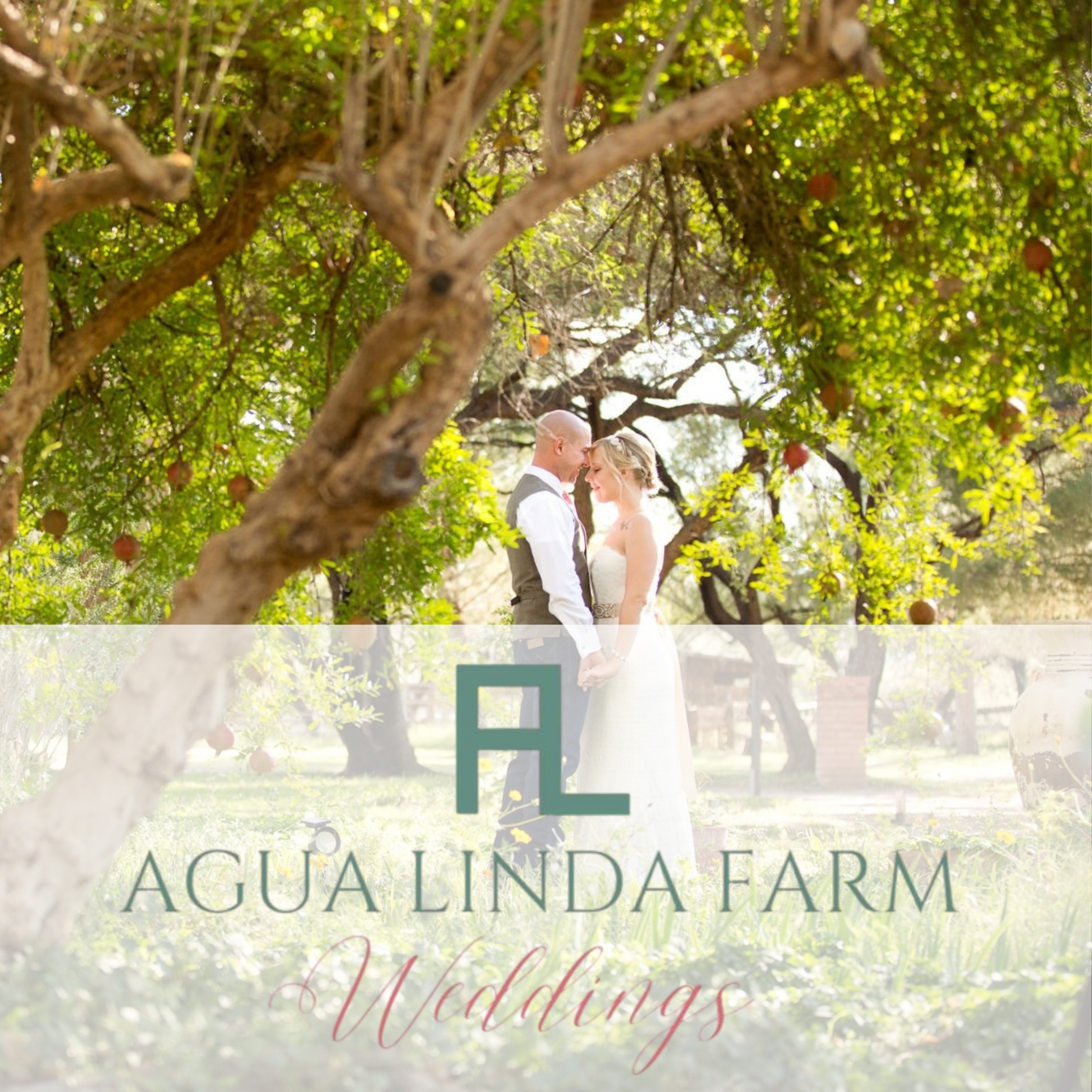 Agua Linda Farm Weddings and Events | TubacAZ