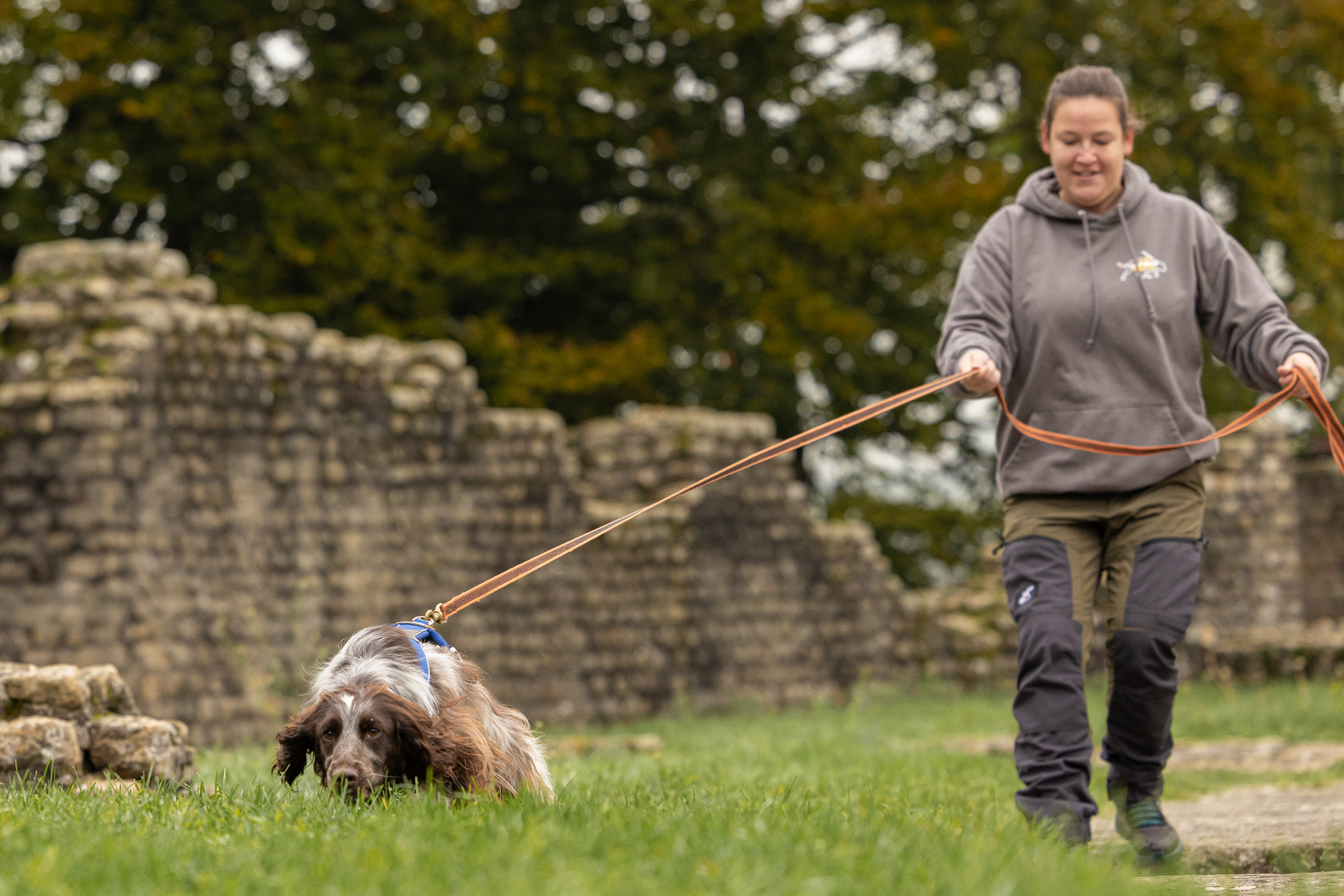 Mantrailing in Switzerland | Frank 'n' Scents