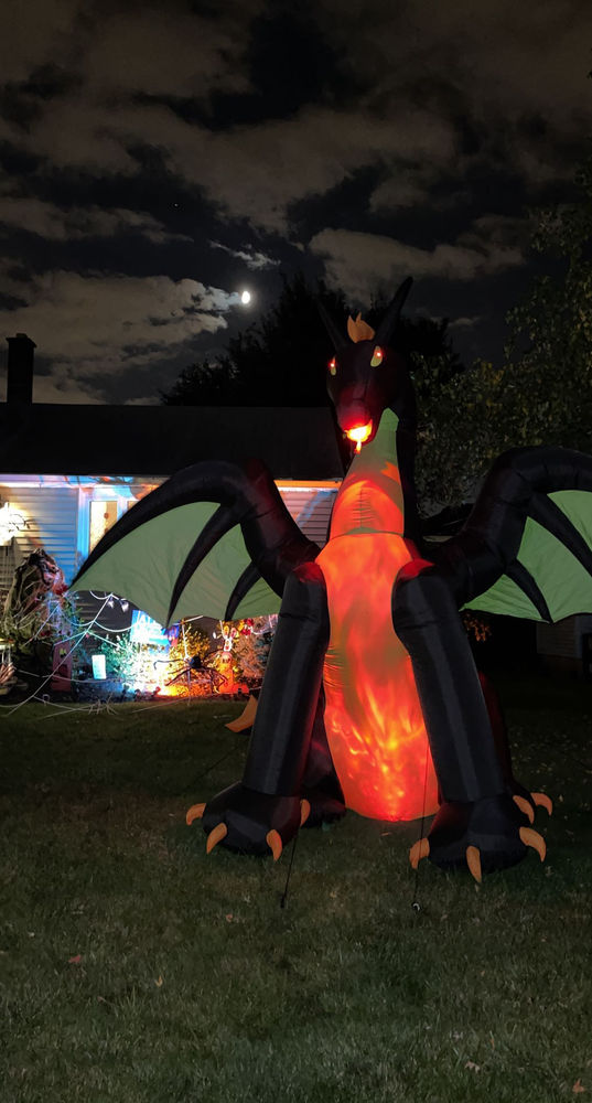 How To Slay A Dragon! 🐉