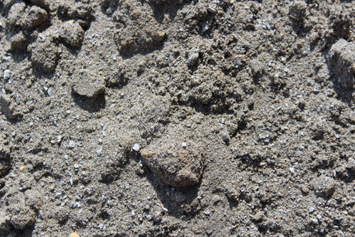 Play Sand | Reno Rock