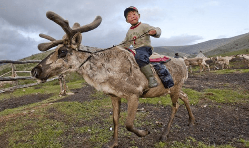 Dukha - The Reindeer People of Mongolia
