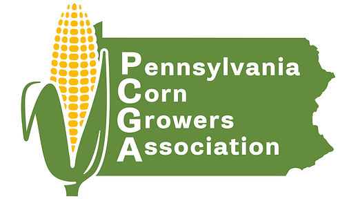 Corn | Pa Corn Growers | Pennsylvania
