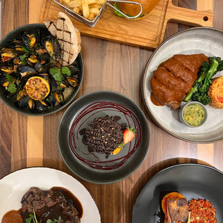 Calgary Airport | Codo Agave | Calgary