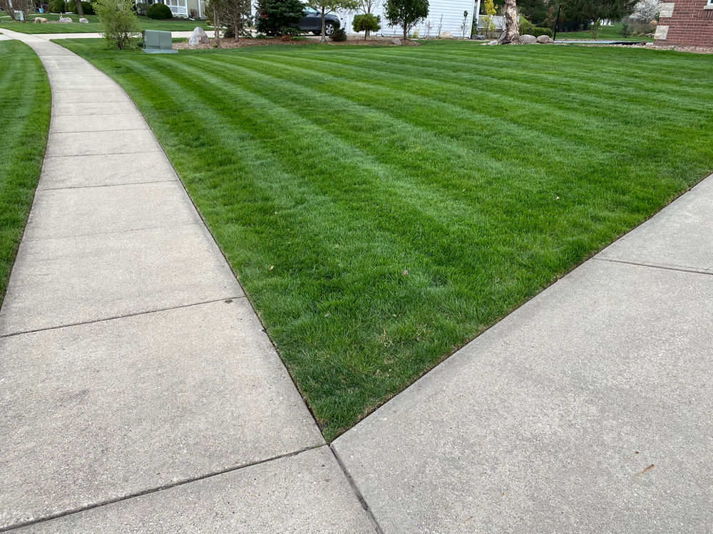 6 Tips for Mowing Your Lawn this Spring