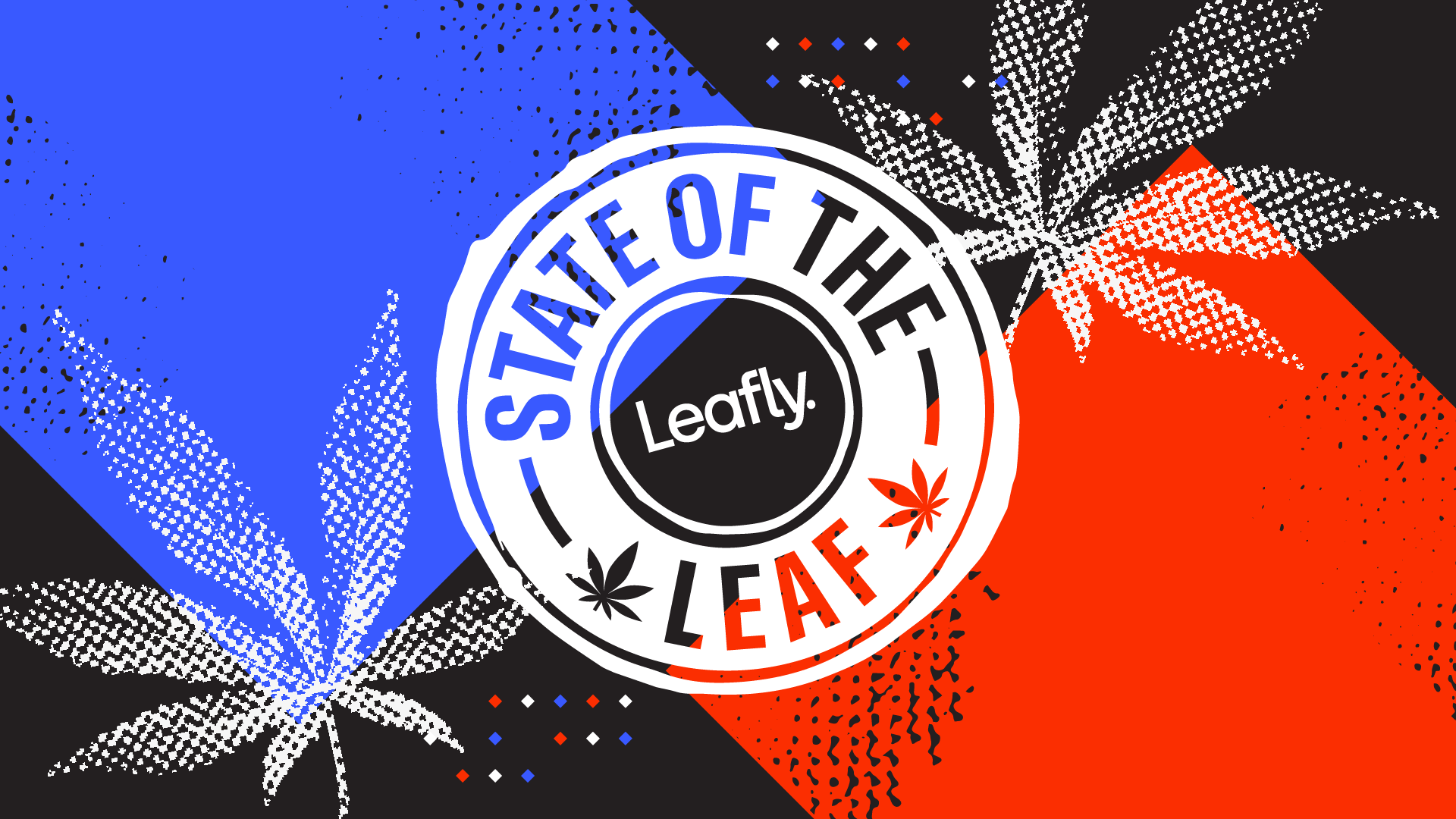 US Election Coverage | Titus Creative