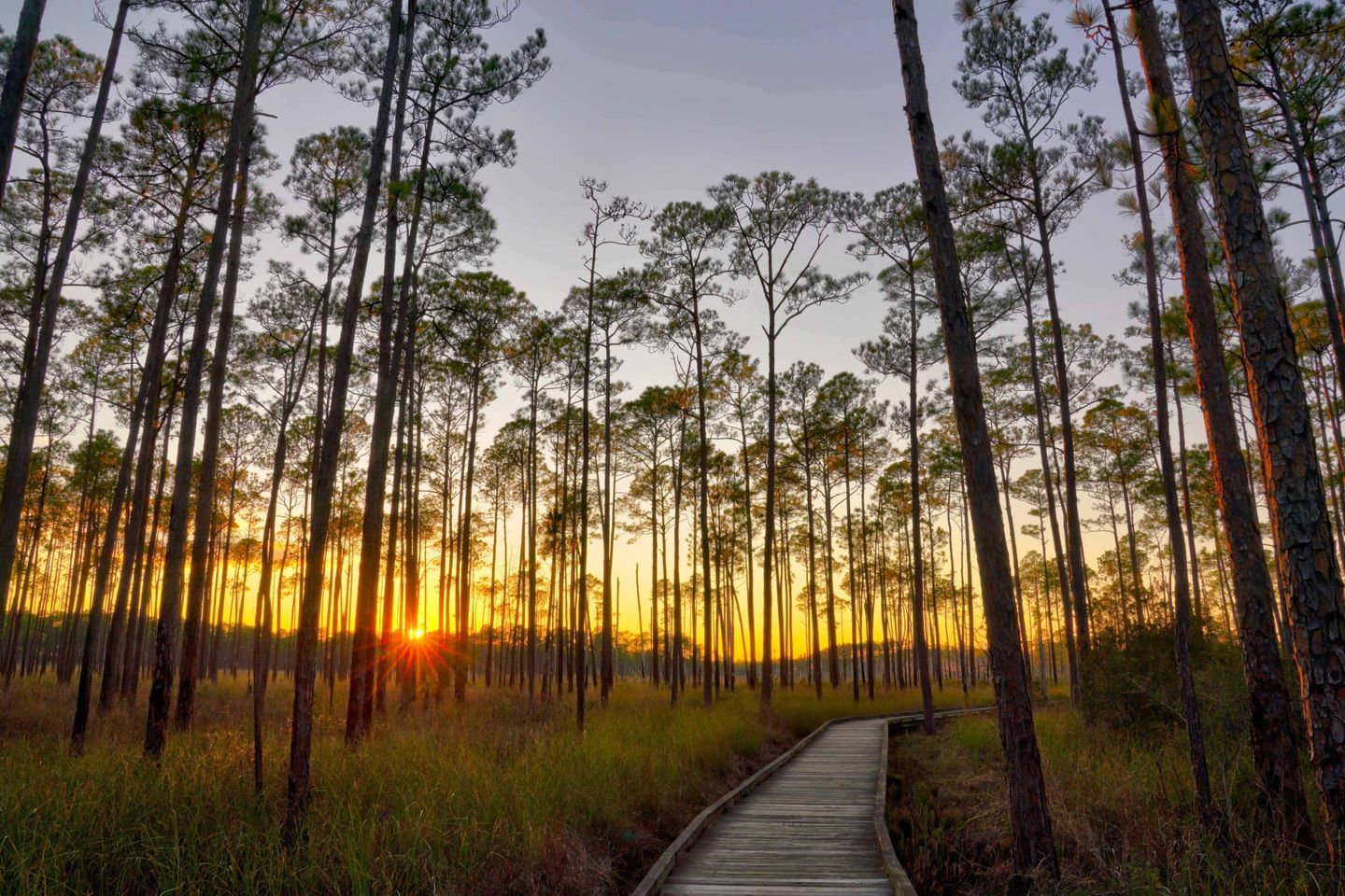 Find Your Wild - Big Branch Marsh Events - 5k Walk (Sept 26-28th ...