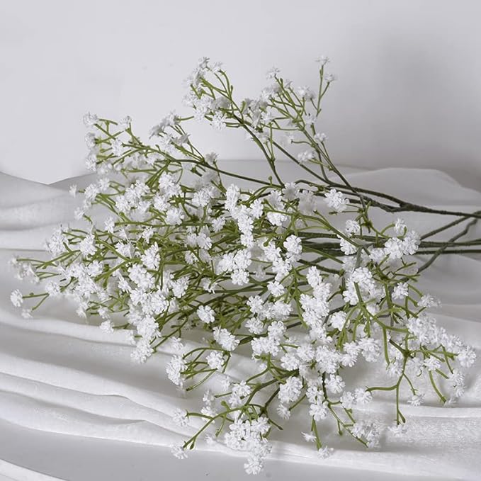 Is Gypsophila Safe on Cakes? Why Baby’s Breath Should Never Be Used in ...
