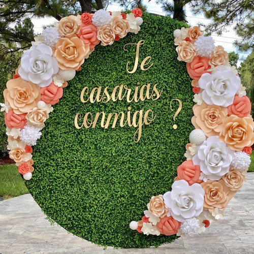 Hedge Circle backdrop | Uplifting Surprise PartyRental
