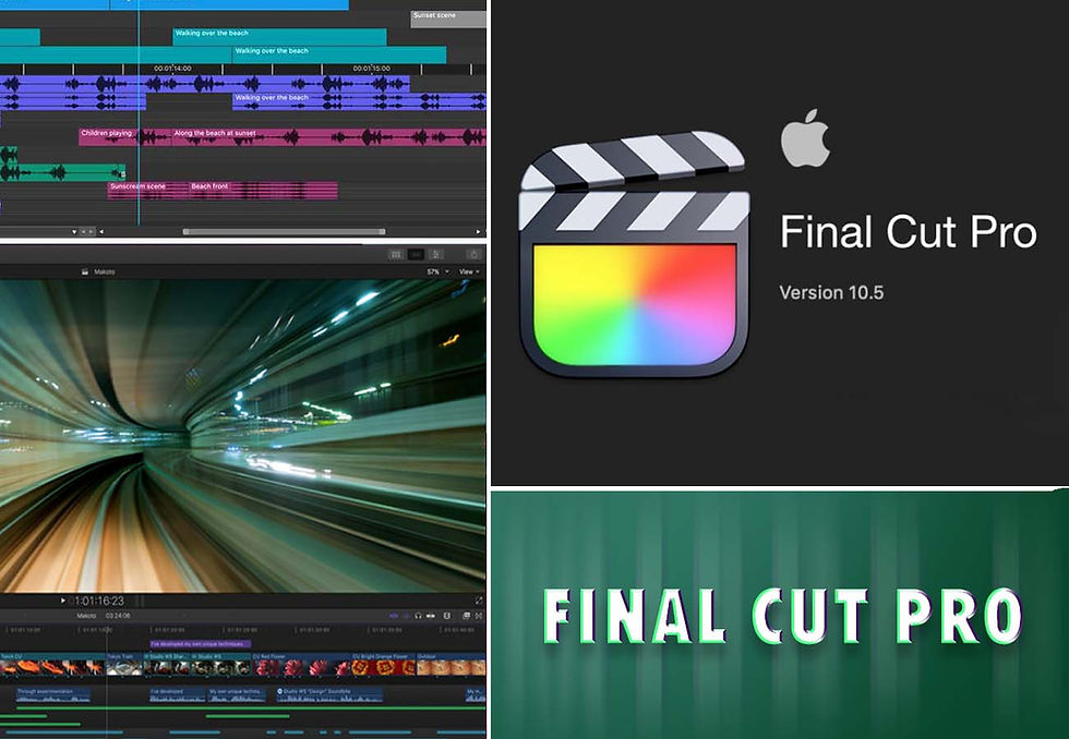 5 Best Video Editing Software For Beginners and Professional