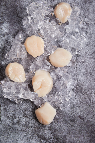 U/10 Scallops | Steakation Butchers