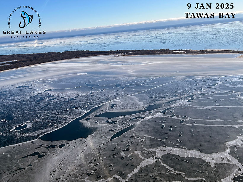 Tawas | The Airborne Angler