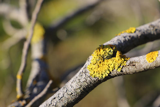 Point Peron K Battery Water Tank | Streetkid Industries