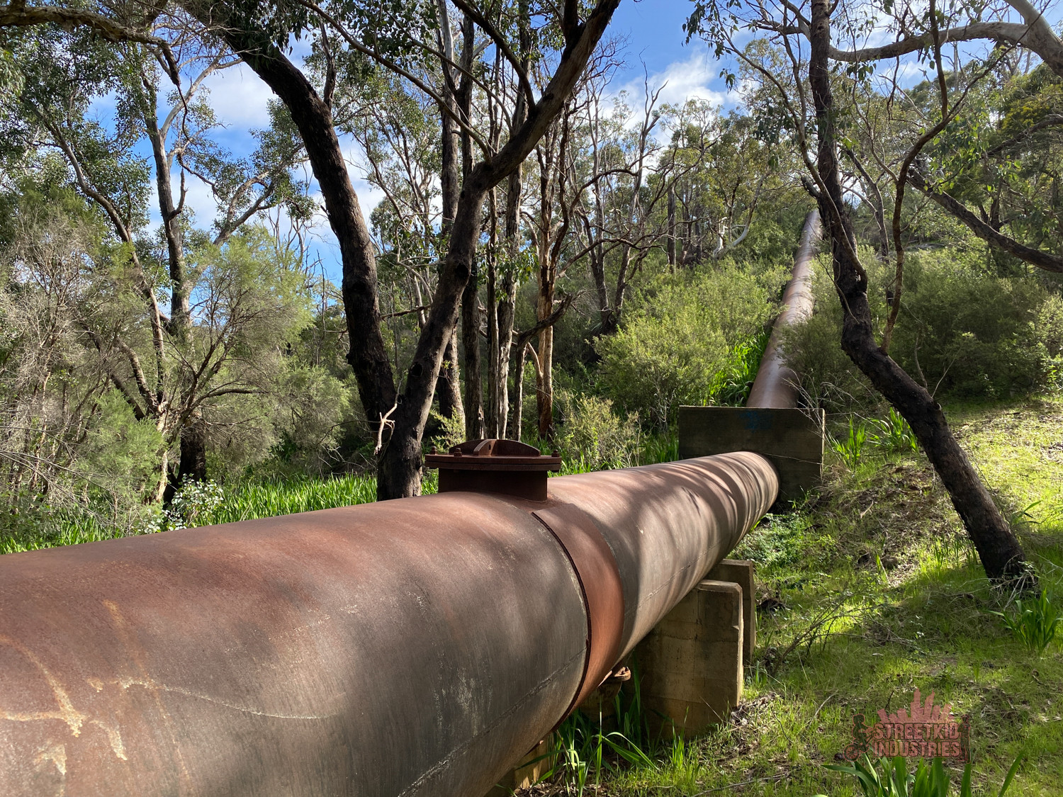 Rolystone Canning | Streetkid Industries