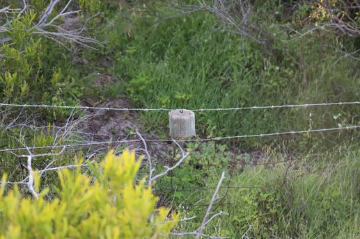 Point Peron K Battery Water Tank | Streetkid Industries