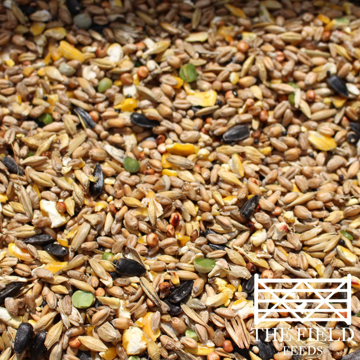 The Field Feeds - Smallholder Feeds