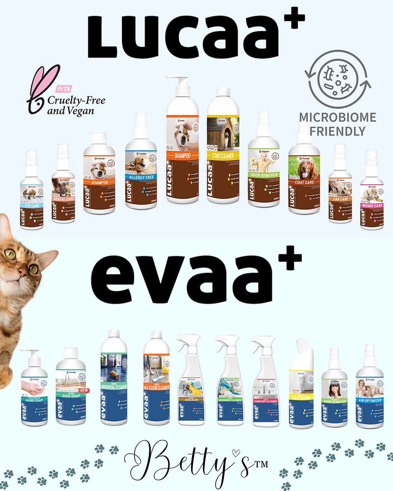 'Microbiome in a Bottle' – the Role of Surface Probiotics by Ingenious ...