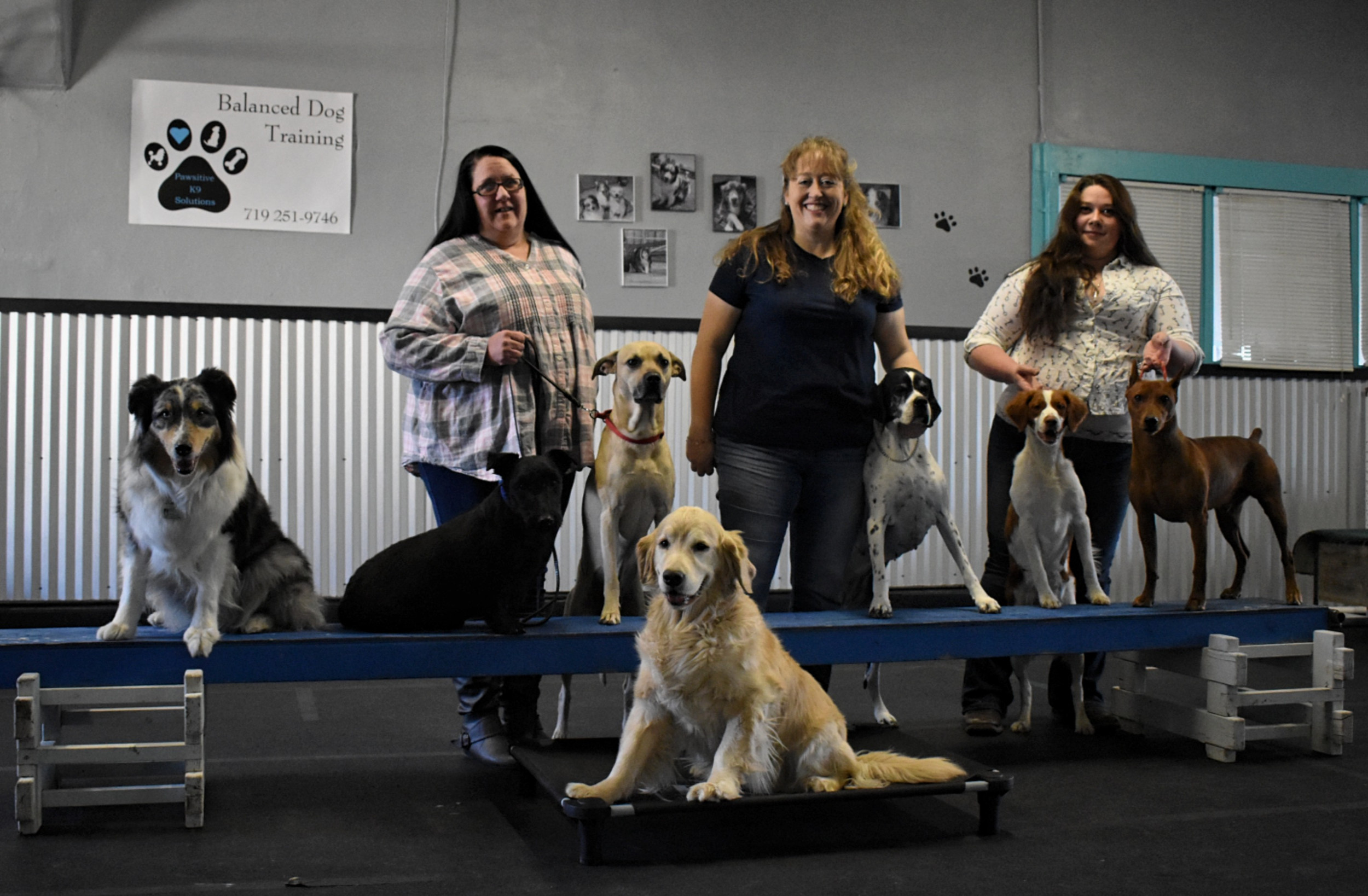 About Us | Pawsitive K9 Solutions