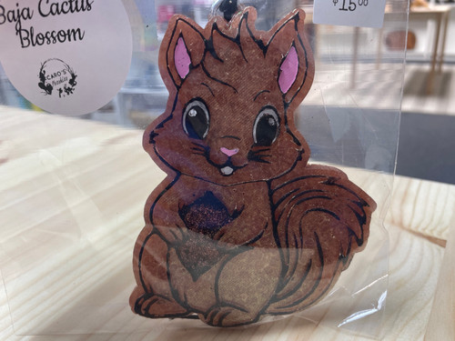 Seguin Squirrel Car Freshie | Guadalupe Trading Co