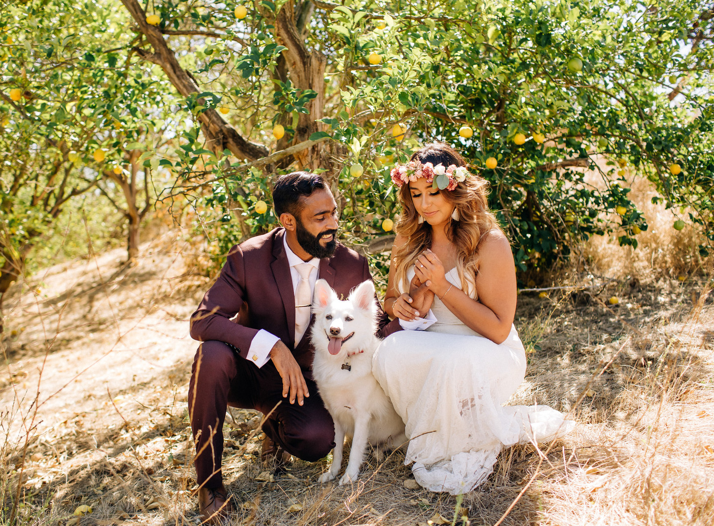 Shevchik Production - Wedding Photographers and Videographers Los ...