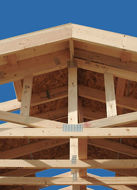 solid green builders