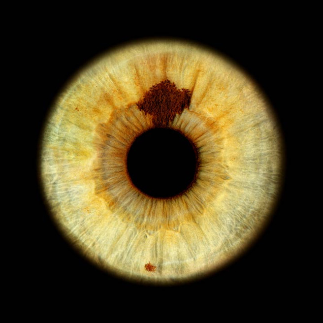 Iris Photo Romandie | Iris Photo Châtel-St-Denis et Kerzers | Pour la ...