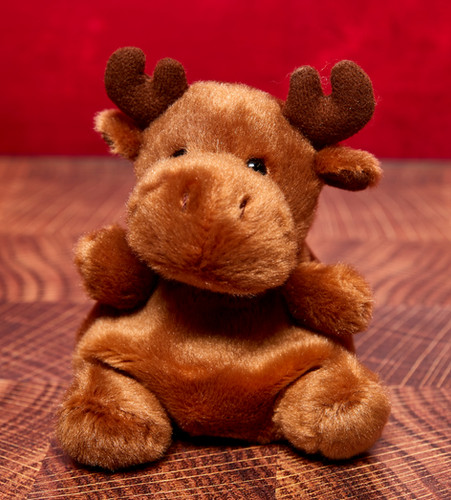 Cinnamon Moose | Red Moose Cookie Com