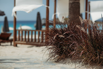 Isola Beach Bar | Ayia Napa