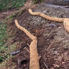 Erosion Control | Habitat Restoration