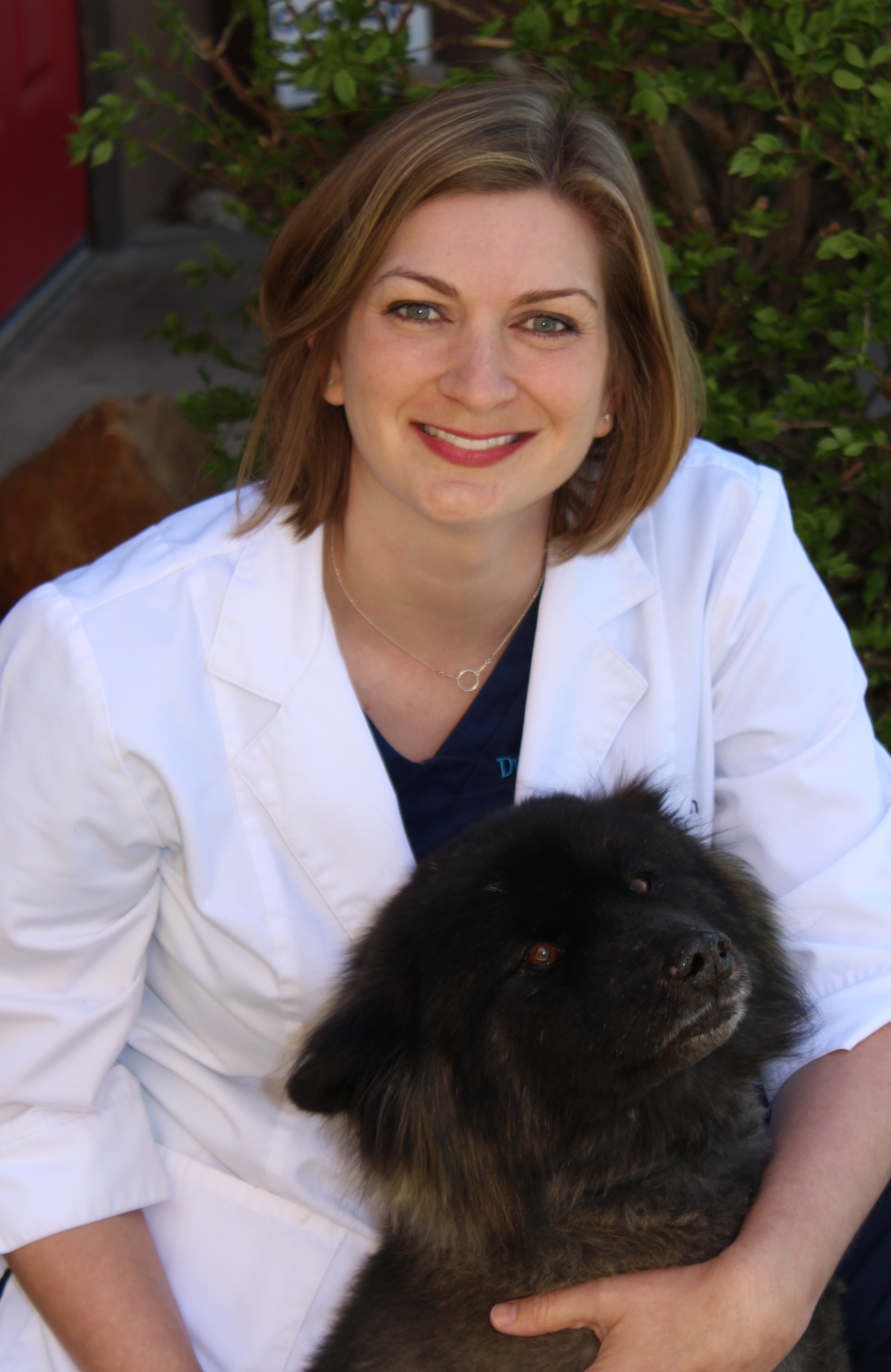 Services | vetclinic