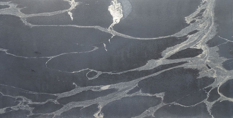 Python Black Leathered