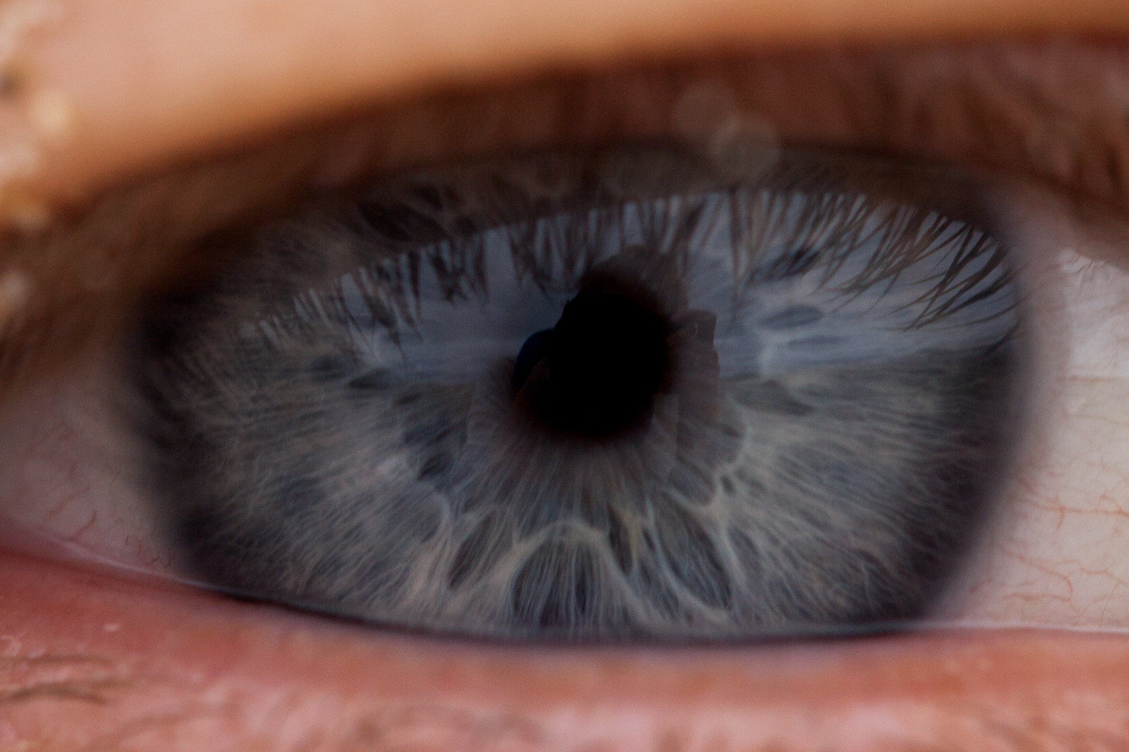 Accueil | Victoria Donnet Danse & Cinéma | réalisations, performances et ateliers