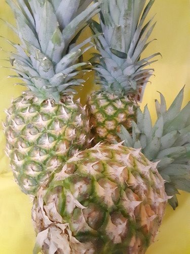 Pineapple Unit Lesson Plan | JWLearningAdventures