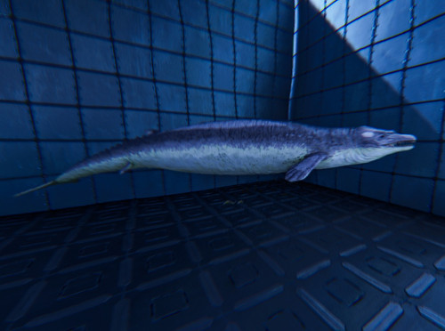 Basilosaurus [PvE Cross] | Arknomaly