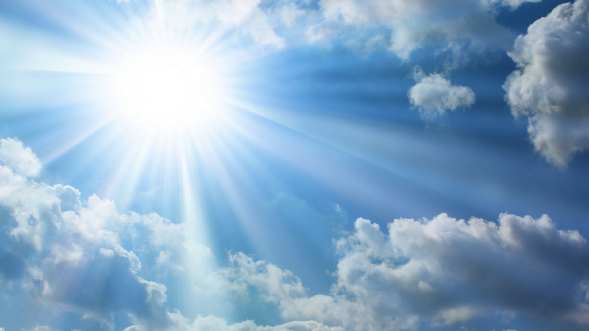 Sunlight Prophesyagain