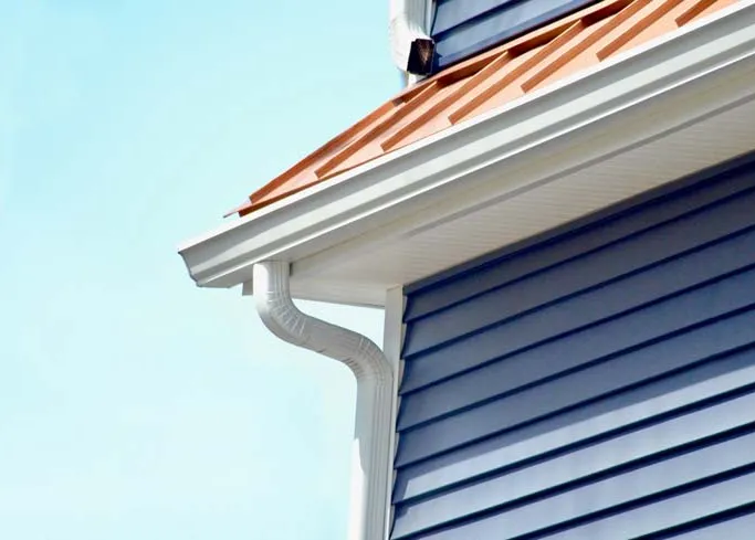 Gutter Cleaning Services Near Me