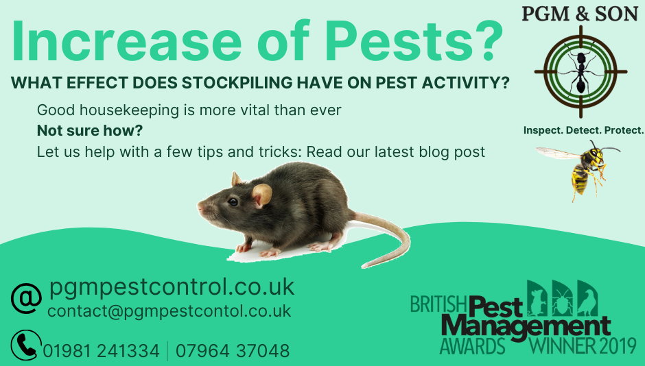 Increase of Pests? Hereford Pest Control Investigates!