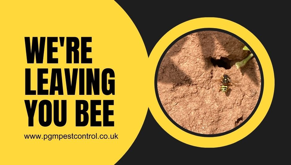 Why we didn’t treat your bees - We’re Leaving them Bee