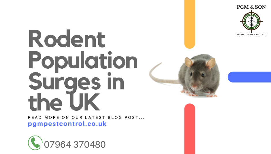 mouse problems uk