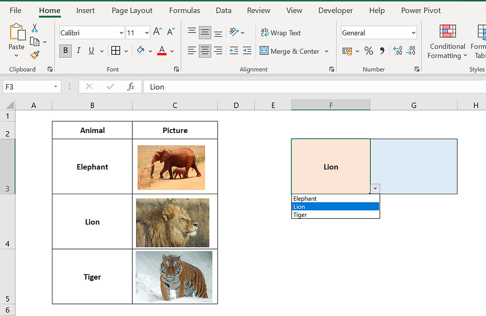 Methods to do picture lookup in excel using formula's