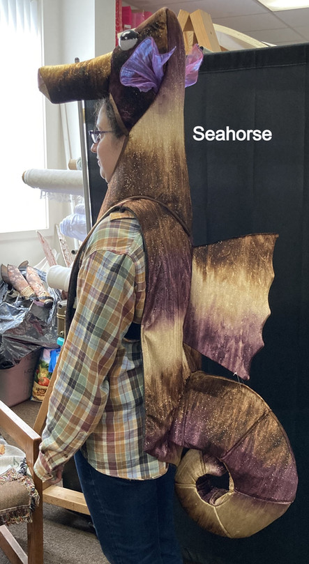 Finding Nemo Jr. | CNY Costumes