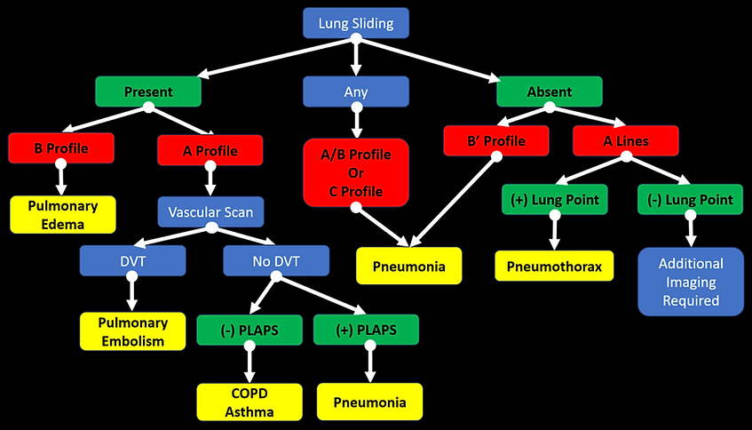 Lung Ultrasound | Pocusstuff