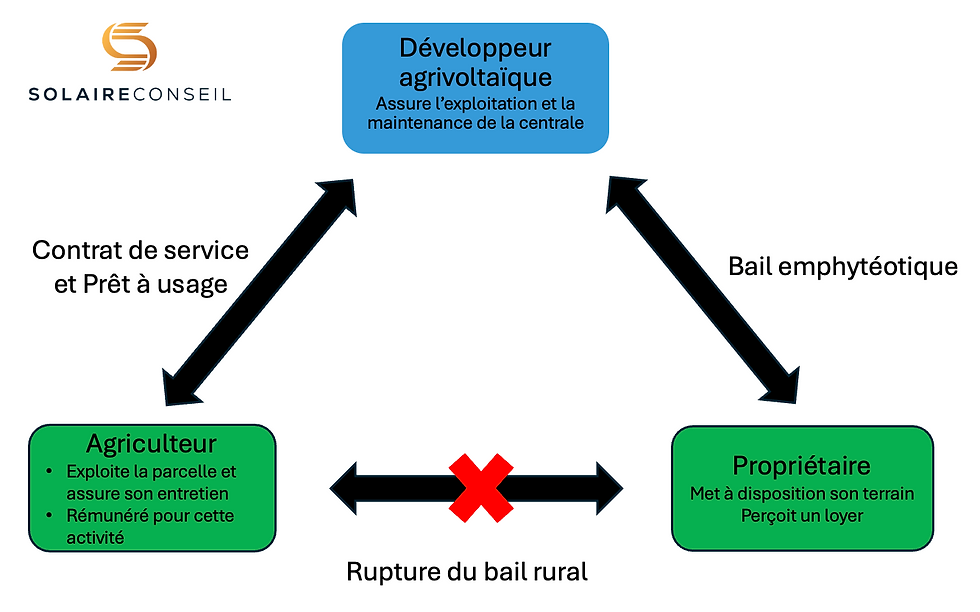 Bail Emphytéotique pour Centrale Solaire : Nos Conseils