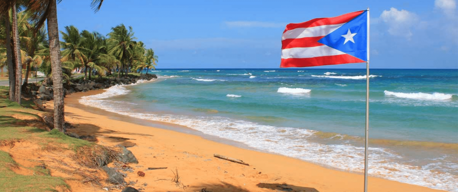 THE CRITICAL IMPORTANCE OF INCLUSIVE ENVIRONMENTAL SUSTAINABILITY ...