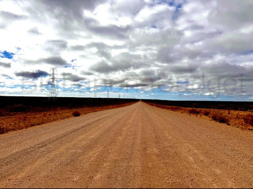 Chowilla Reserve, SA | Big Lap On A Budget