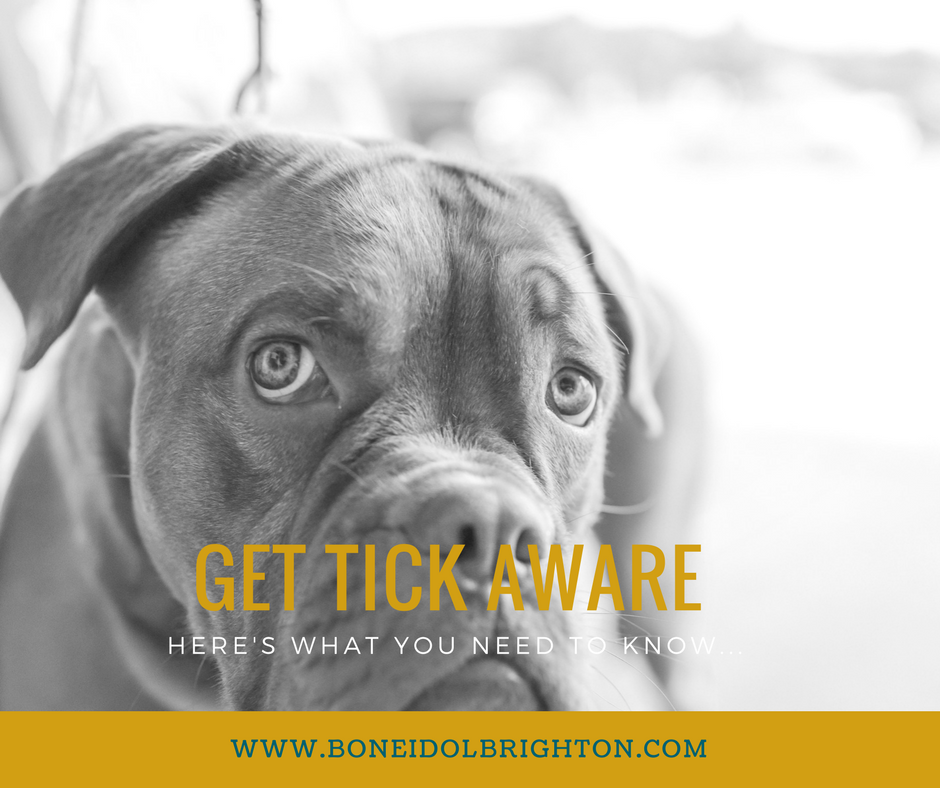 Tick that box & be tick aware! – Slobber & Chops